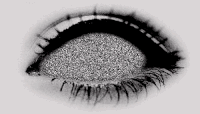 Eyelash GIFs - Get the best gif on GIFER