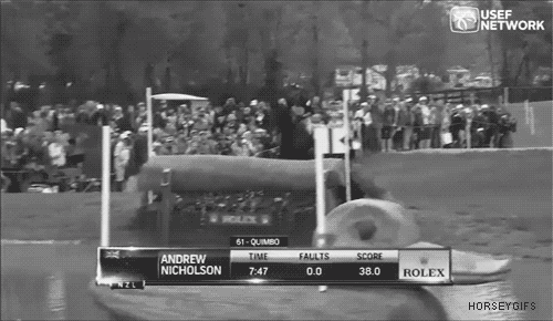 Xc GIFs - Get the best gif on GIFER