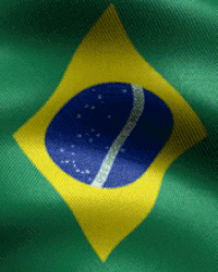 Brazil GIFs - Get the best gif on GIFER