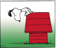 Peanuts comic GIFs - Get the best gif on GIFER