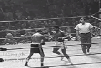 Greatest GIFs - Get the best gif on GIFER