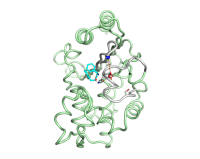 Biologie GIFs - Get the best gif on GIFER