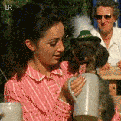 Bavaria GIFs - Get the best gif on GIFER