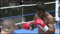 Knockouts GIFs - Get the best gif on GIFER