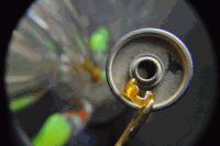 Dab GIFs - Get the best gif on GIFER