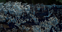 Fungi GIFs - Get the best gif on GIFER