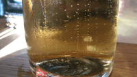 Peroni гифки, анимированные GIF изображения peroni - скачать гиф ...