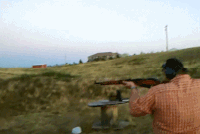 Muzzle GIFs - Get the best gif on GIFER