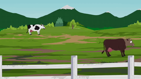 Pasture GIFs - Get the best gif on GIFER