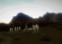 Frolicking GIFs - Get the best gif on GIFER