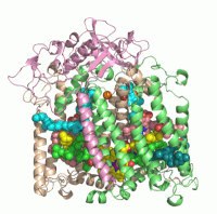 Bacteria GIF - Conseguir el mejor gif en GIFER