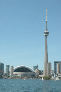 Toronto GIFs - Get the best gif on GIFER