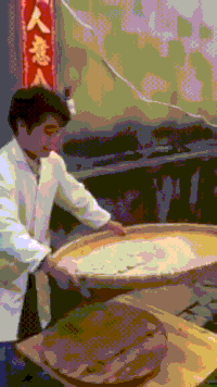 Professional GIFs - Get the best gif on GIFER