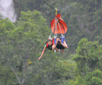 Philippine GIFs - Get the best gif on GIFER