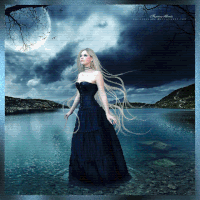 Mer GIFs - Get the best gif on GIFER