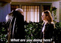 Ahahahaha GIFs - Get the best gif on GIFER