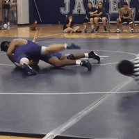 Referee GIFs - Get the best gif on GIFER