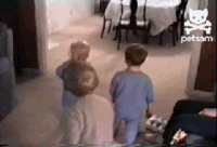 Around GIFs - Get the best gif on GIFER