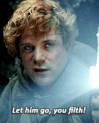 Samwise gamgee GIFs - Get the best gif on GIFER