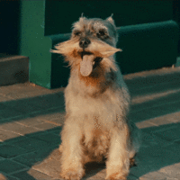 Bobbed hair GIFs - Get the best gif on GIFER
