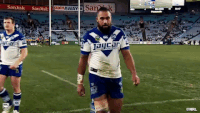 Nrl GIFs - Get the best gif on GIFER