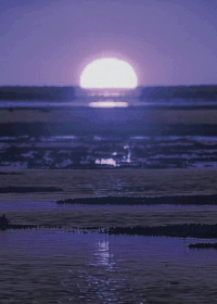 Street light GIFs - Get the best gif on GIFER