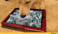 Tablet GIFs - Get the best gif on GIFER