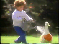 Oshkosh GIFs - Get the best gif on GIFER