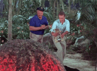Gilligans island GIFs - Obtenez le meilleur gif sur GIFER