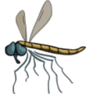 Insect GIFs - Get the best gif on GIFER