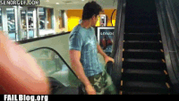 Planking GIFs - Get the best gif on GIFER