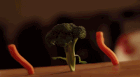 Broccoli GIFs - Get the best gif on GIFER