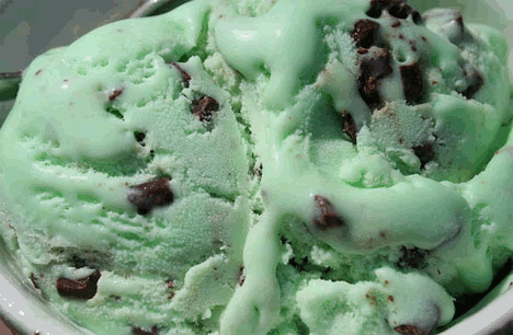 Mint chocolate chip GIF - Conseguir o melhor gif em GIFER