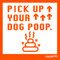 Dog poop GIFs - Get the best gif on GIFER