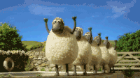 Sheeps GIFs - Get the best gif on GIFER