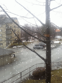 Snowy GIFs - Get the best gif on GIFER