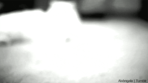 Sba GIFs - Get the best gif on GIFER