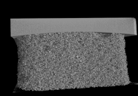 Microscopy GIFs - Get the best gif on GIFER
