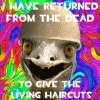 Emu GIFs - Get the best gif on GIFER