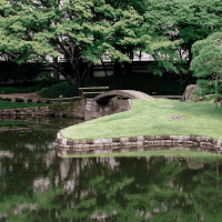 Processando GIF - Conseguir o melhor gif em GIFER