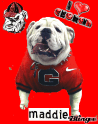 Georgia GIFs - Get the best gif on GIFER