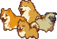 Transparent dog GIFs - Get the best gif on GIFER