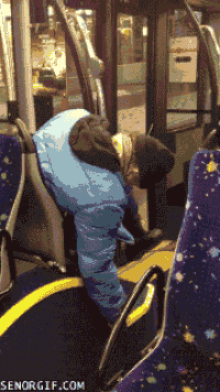 Bus GIFs - Get the best gif on GIFER