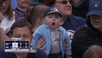 Baseball GIFs - Get the best gif on GIFER