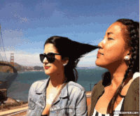 Sinus GIFs - Get the best gif on GIFER