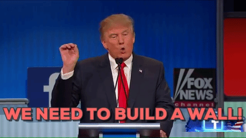 Build a wall GIF - Conseguir o melhor gif em GIFER