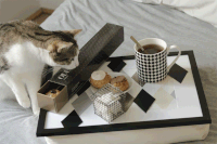 Manual GIFs - Get the best gif on GIFER