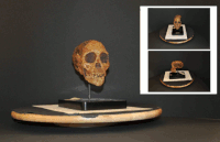 Photogrammetry GIFs - Get the best gif on GIFER