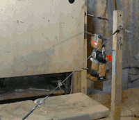 Quadruple GIFs - Get the best gif on GIFER
