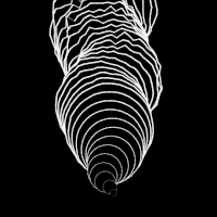 Flow GIFs - Get the best gif on GIFER